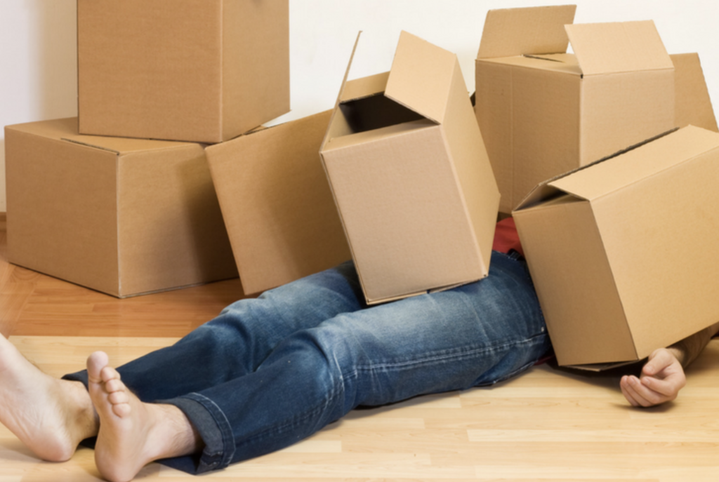 eNetGet - Trending Tech News and Updates